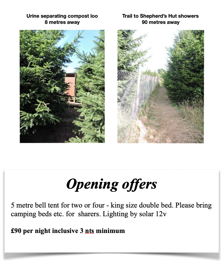 Goffin Land Devon Eco Retreat - The Biophilia Project